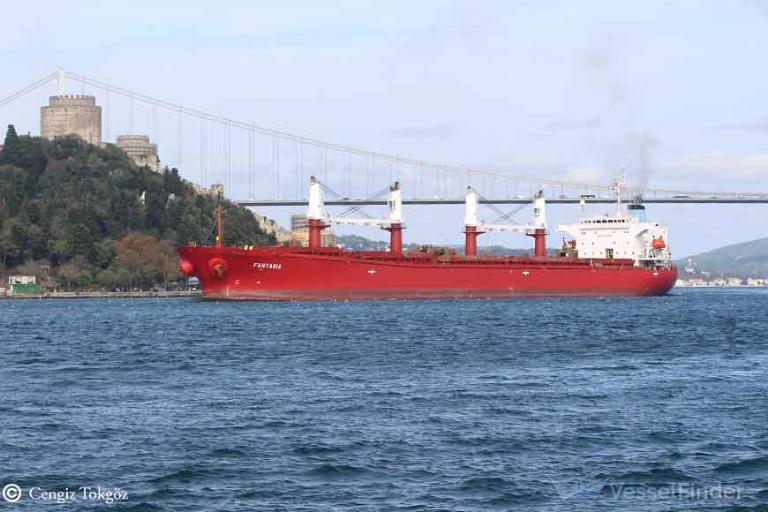 FANTASIA, Bulk Carrier - Details and current position - IMO 9182473 ...