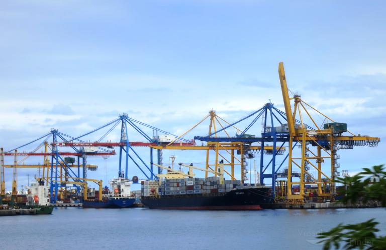 BALEEN, Container Ship - Details and current position - IMO 9187332 ...