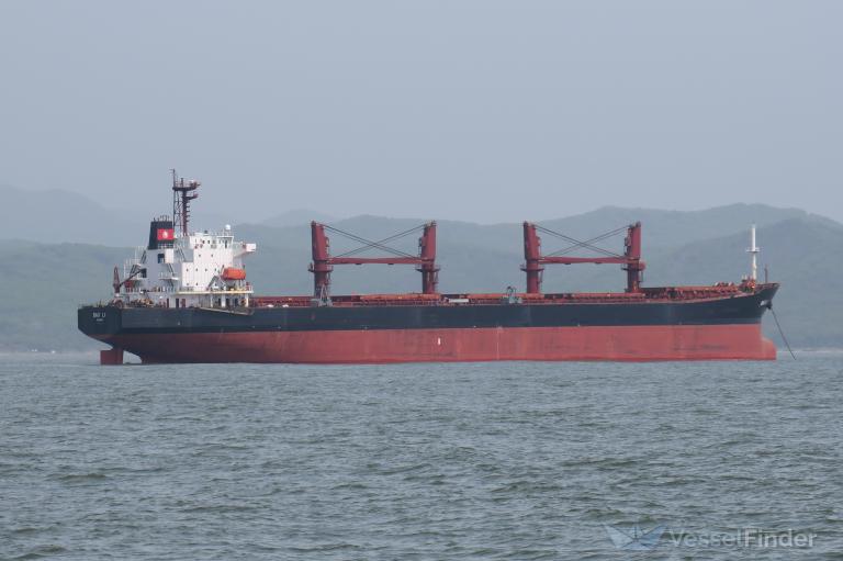BAO LI, Bulk Carrier - Details and current position - IMO 9187370 ...