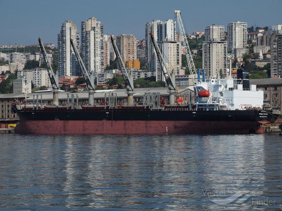 NEW FAITH, Bulk Carrier - Details and current position - IMO 9191034 ...