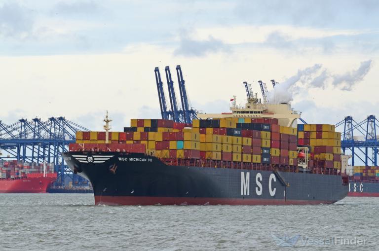 MSC MICHIGAN VII, Container Ship - Details and current position - IMO ...