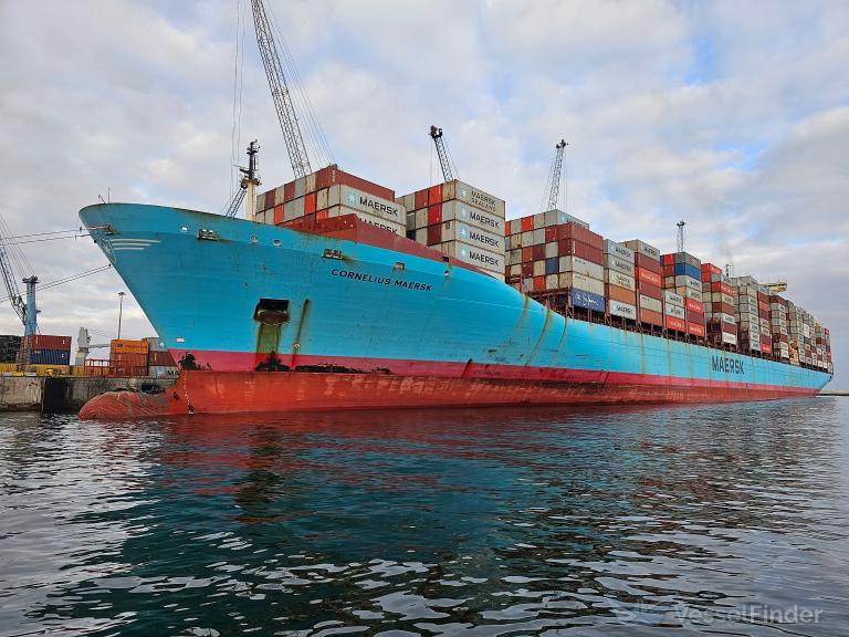 MSC CHIARA X, Container Ship - Detalles del buque y posición actual ...