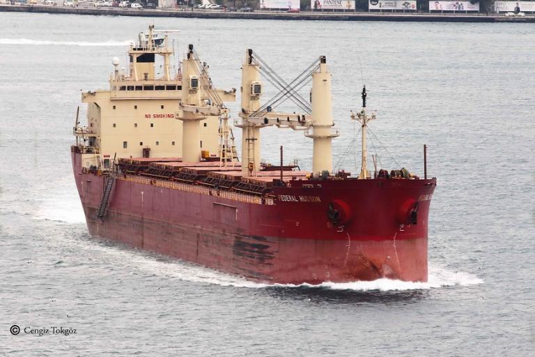 FEDERAL HUDSON, Bulk Carrier - Details and current position - IMO ...