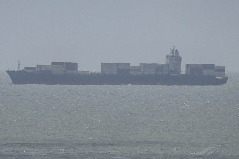 SARVIN, Container Ship - Details and current position - IMO 9209348 ...