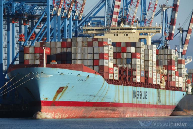 MSC NICOLE X, Container Ship - Details and current position - IMO ...