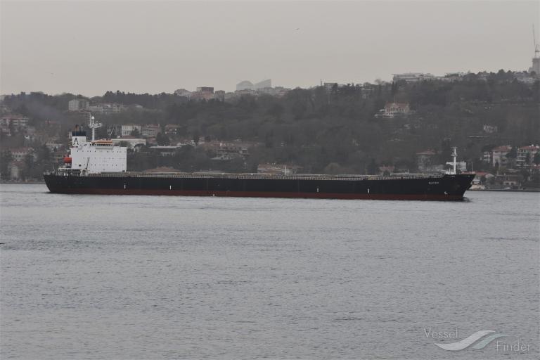 ELPIDA, Bulk Carrier - Details and current position - IMO 9218284 ...