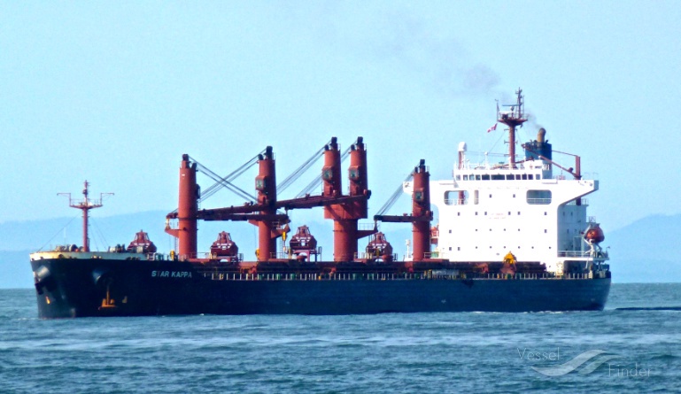 MV STAR ROYAL, Bulk Carrier - Details and current position - IMO ...