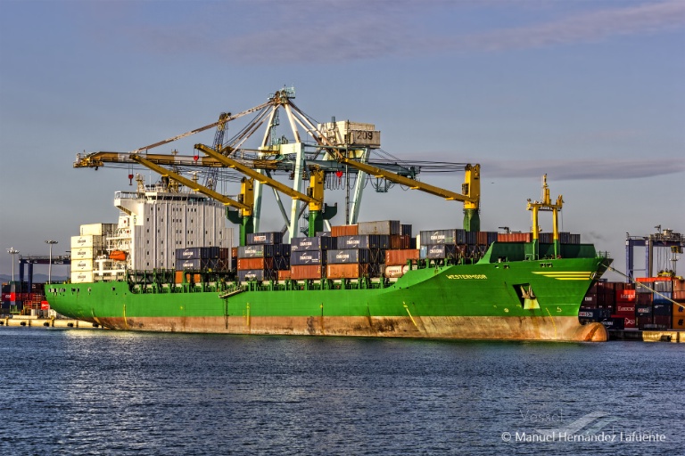 MSC SAMU, Container Ship - Details and current position - IMO 9222106 ...