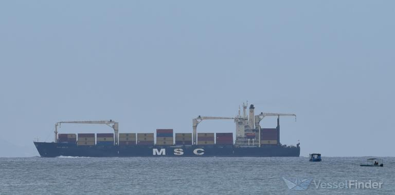 MSC IDA II, Container Ship - Details and current position - IMO 9224946 ...