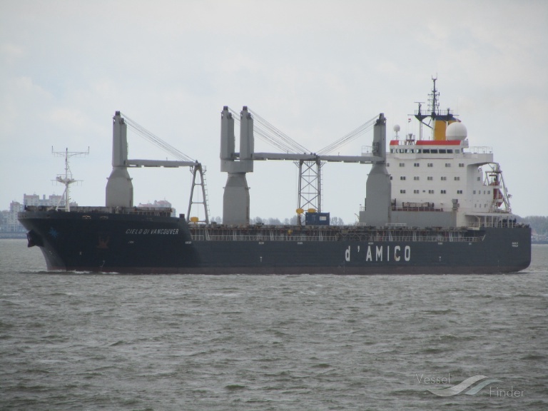 MSC SILVER II, General Cargo Ship - Details and current position - IMO ...