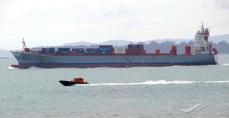 ALEX, Container Ship - Details and current position - IMO 9225407 ...