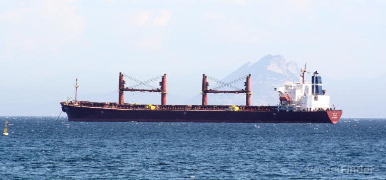 ELENI M, Bulk Carrier - Details and current position - IMO 9228033 ...
