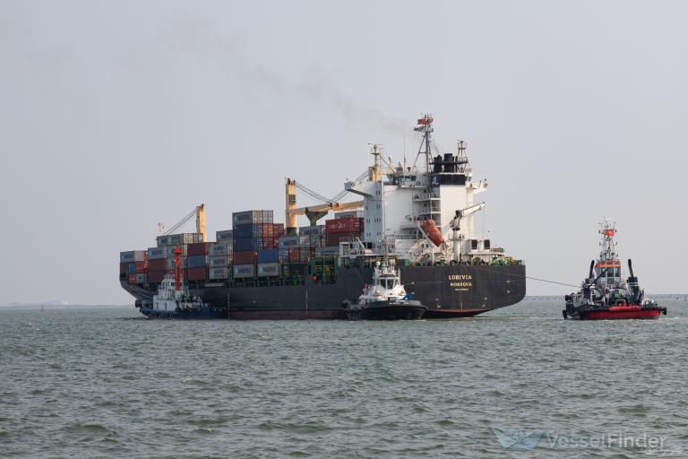 LOBIVIA, Container Ship - Details and current position - IMO 9228564 ...