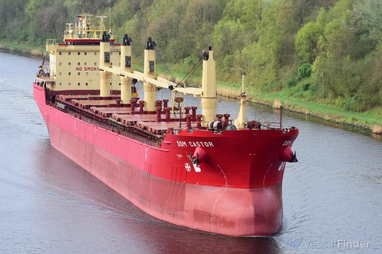 DSM CASTOR, Bulk Carrier - Details and current position - IMO 9230000 ...