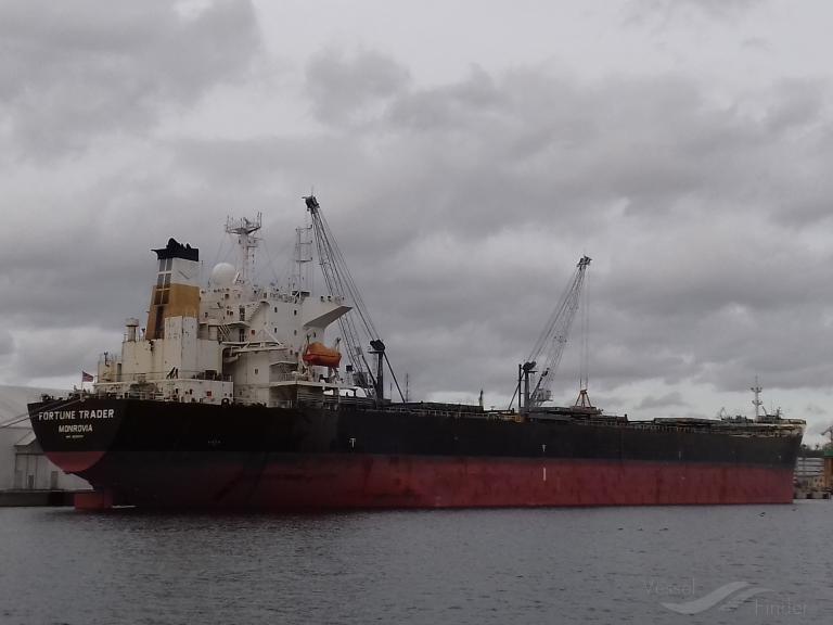 FORTUNE TRADER, Bulk Carrier - Schiffsdaten und aktuelle Position - IMO ...