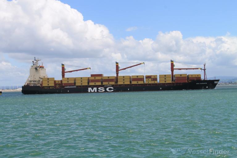 MSC RADIANT III, Container Ship - Details and current position - IMO ...