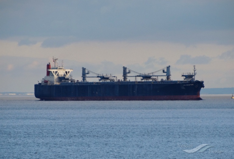 RIZHAO EXPRESS, Wood Chips Carrier - Details and current position - IMO 9238595 - VesselFinder
