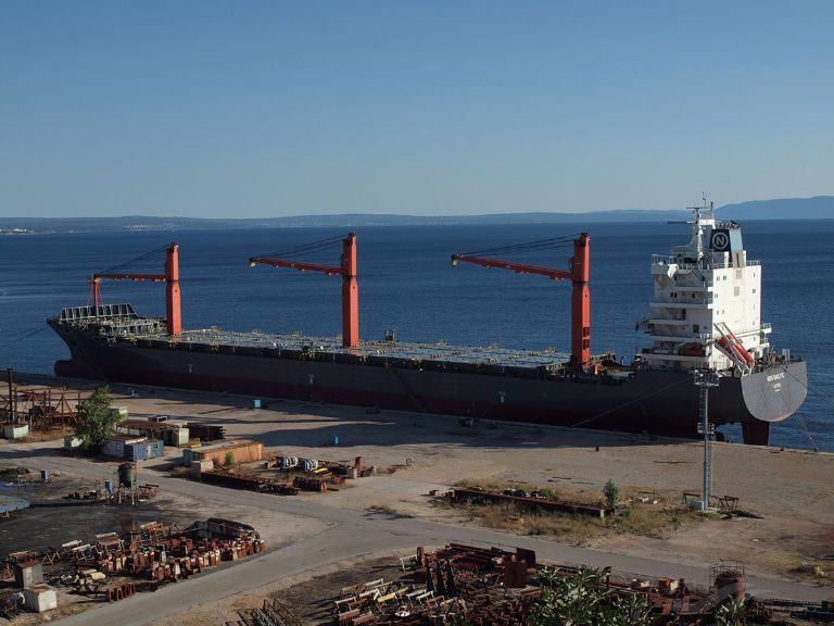 MSC BALTIC III, Container Ship - Details and current position - IMO ...