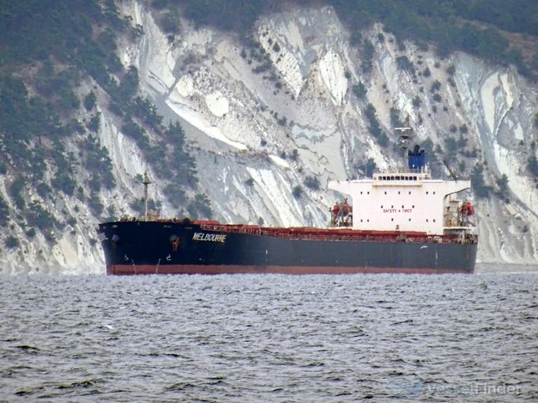 SHUN FU WANG, Bulk Carrier - Details and current position - IMO 9244788 ...