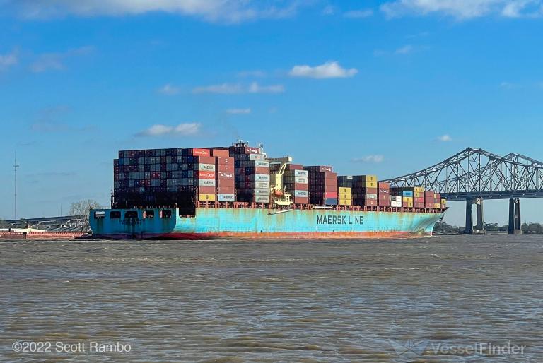 MSC KALAMATA VII, Container Ship - Details and current position - IMO ...