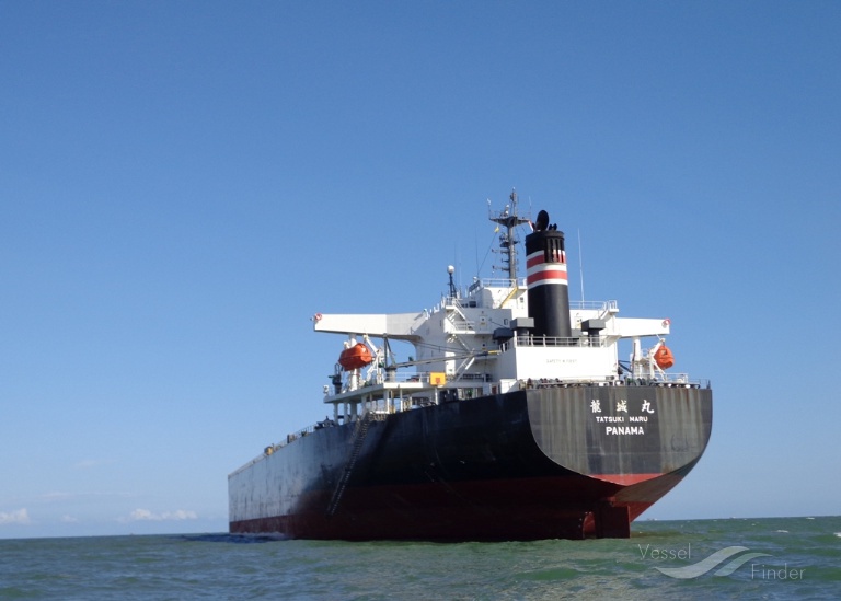 DARA, Bulk Carrier - Details and current position - IMO 9250244 ...