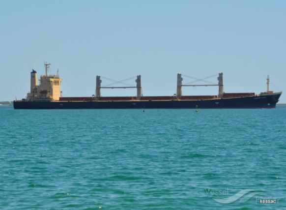 DONG LONG, Bulk Carrier - Details and current position - IMO 9251030 ...