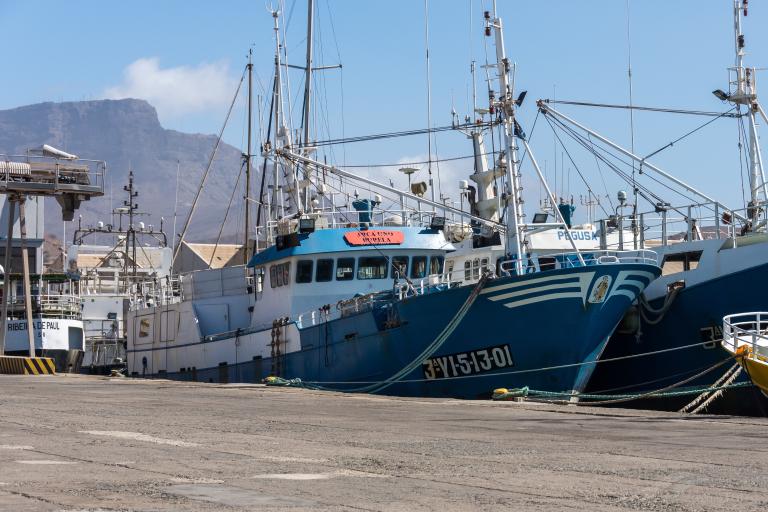 ARCA UNO, Fishing Vessel - Details and current position - IMO 9252149 ...