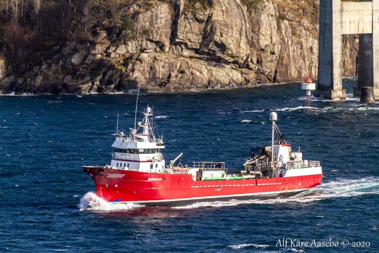 INTER AUSTRAL, Fish Carrier - Details and current position - IMO ...