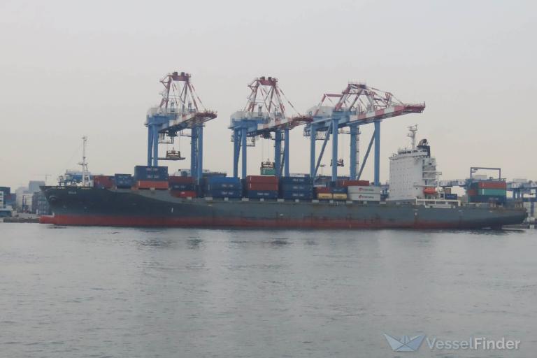 ELLA, Container Ship - Detalles del buque y posición actual - IMO ...