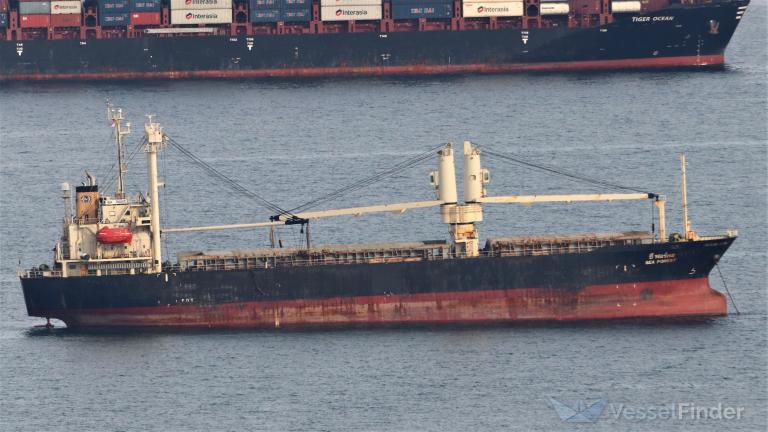 SEA FOREST, General Cargo Ship - Details and current position - IMO ...