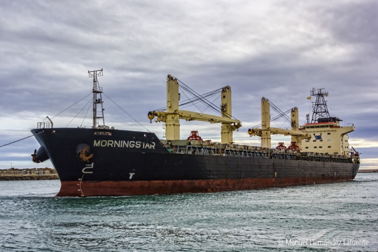 MORNING, Bulk Carrier - Details and current position - IMO 9263069 ...