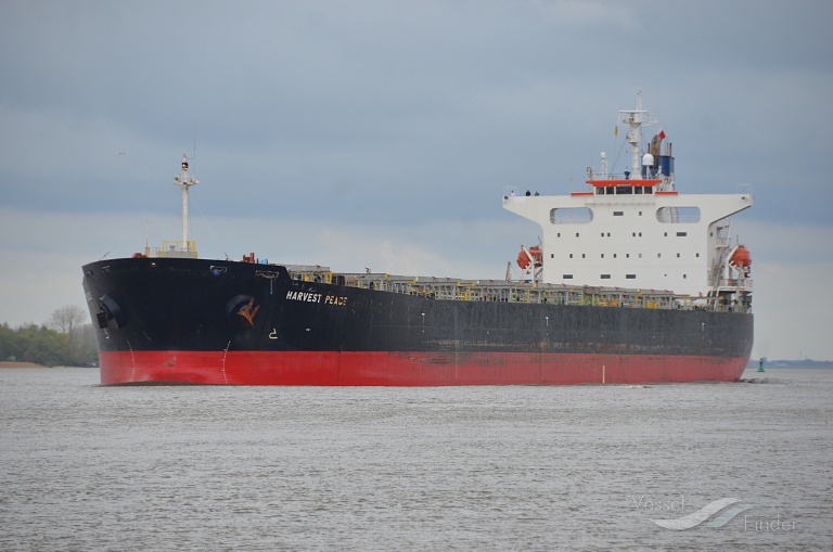 FORTUNE SUN, Bulk Carrier - Details and current position - IMO 9267211 ...