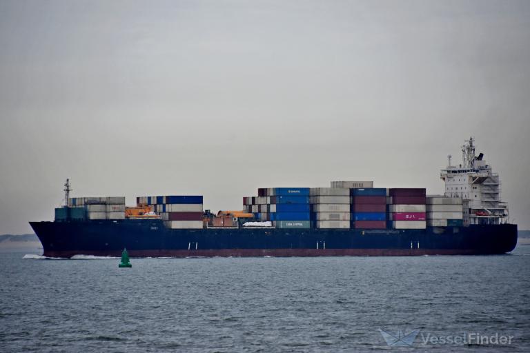 DAISY, Container Ship - Details and current position - IMO 9270684 ...