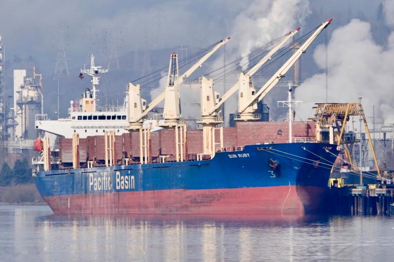 SUN RUBY, Bulk Carrier - Данные судна и текущее положение - IMO 9274551 ...