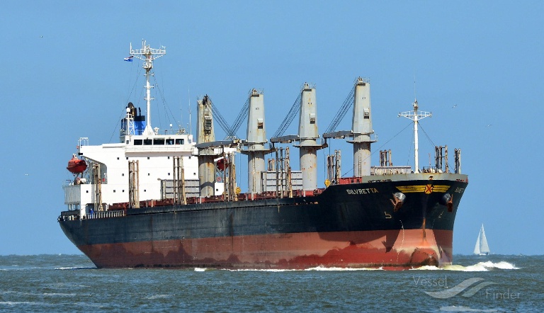 TAN BINH 246, Bulk Carrier - Scheepsdetails en huidige positie - IMO ...