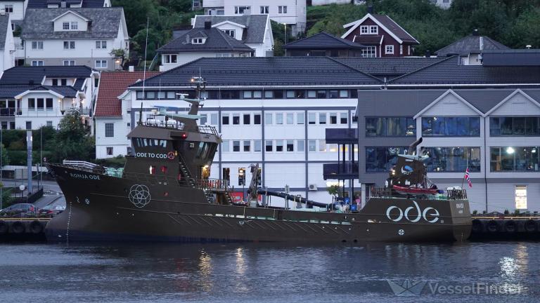 RONJA ODE, Fish Carrier - Details and current position - IMO 9276963 ...