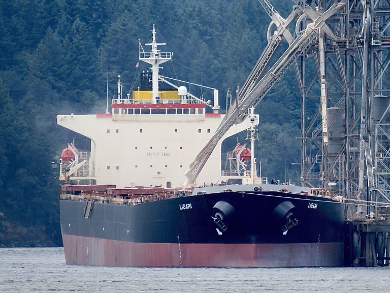 LIGARI, Bulk Carrier - Gemi detayları ve güncel harita konumu - IMO ...
