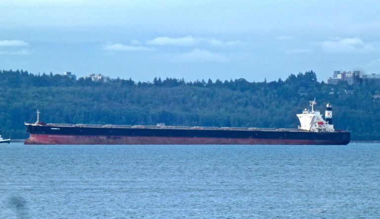BEKS FORCE, Bulk Carrier - Details and current position - IMO 9279874 ...