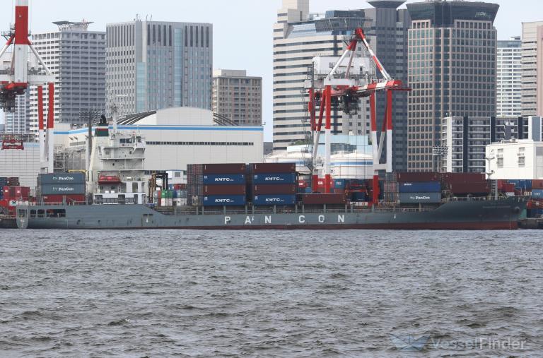 PEGASUS PACER, Container Ship - Details and current position - IMO ...