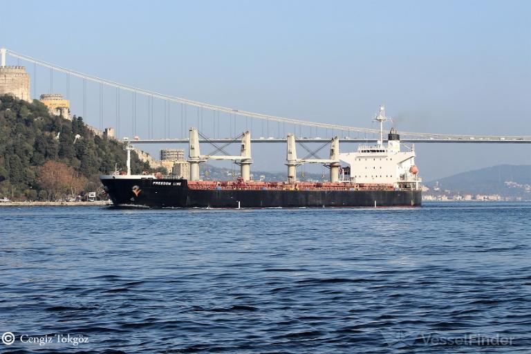 FREEDOM LINE, Bulk Carrier - Gemi detayları ve güncel harita konumu ...