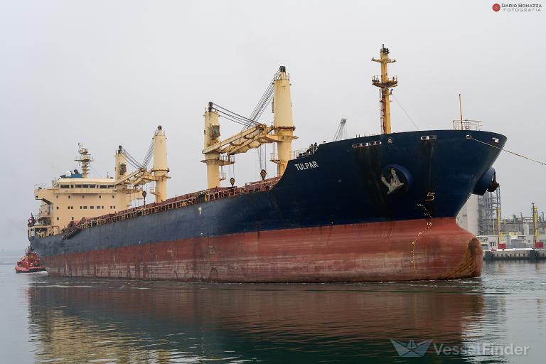 TULPAR, Bulk Carrier - Details and current position - IMO 9285407 ...