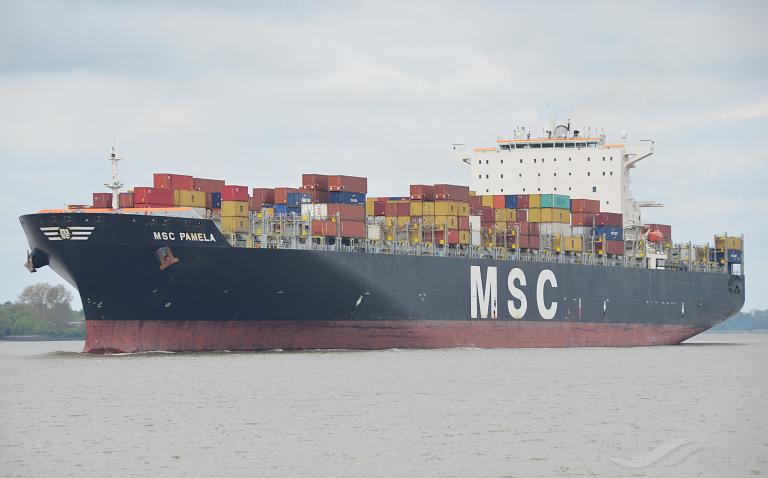 MSC PAMELA, Container Ship - Details and current position - IMO 9290531 ...