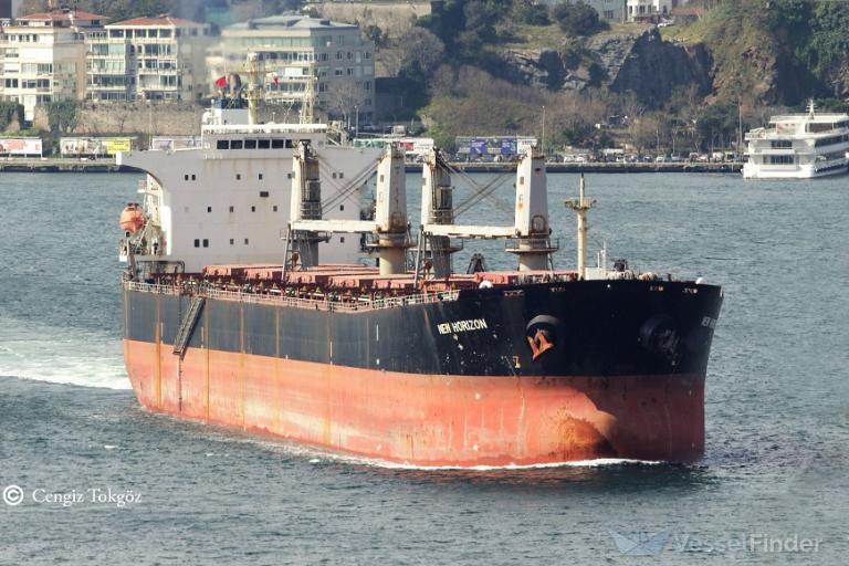 NEW HORIZON, Bulk Carrier - Details and current position - IMO 9290701 ...