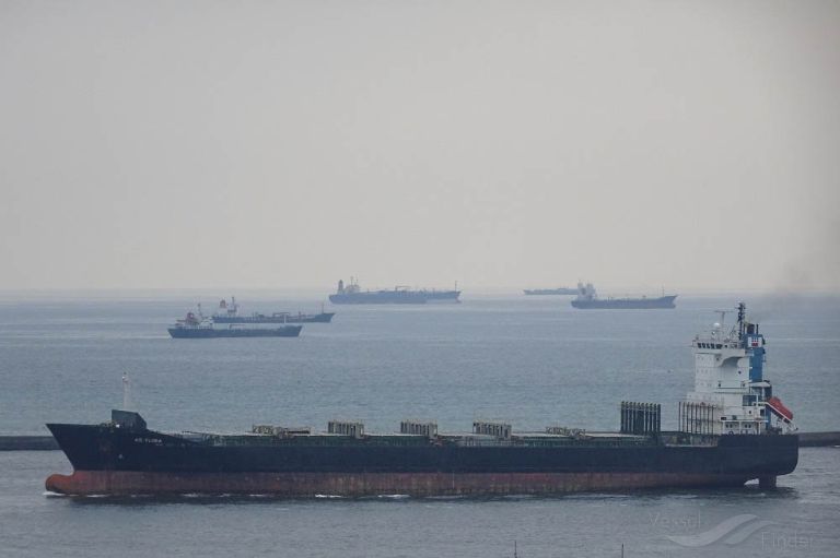 AS FLORA, Container Ship - Details and current position - IMO 9292462 ...