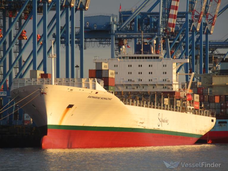 MAERSK NOMAZWE, Container Ship - Details and current position - IMO ...