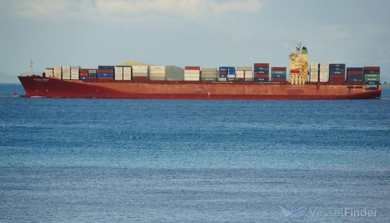ANTWERP BRIDGE, Container Ship - Details and current position - IMO ...