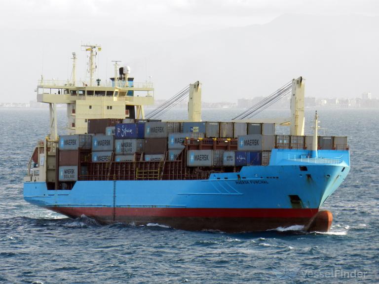 VISITOR, Container Ship - Dettagli della nave e posizione attuale - IMO ...