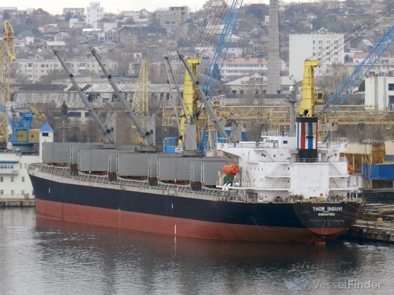 THOR INSUVI, Bulk Carrier - Details and current position - IMO 9298533 ...