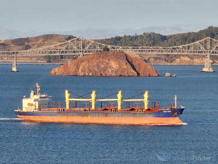 BLUE CECIL, Bulk Carrier - Details and current position - IMO 9300207 ...