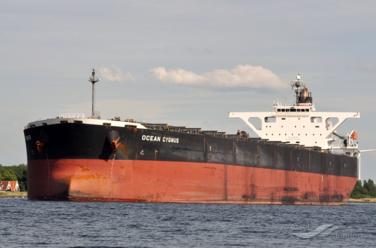 CAPE HAWK, Bulk Carrier - Details and current position - IMO 9300582 ...